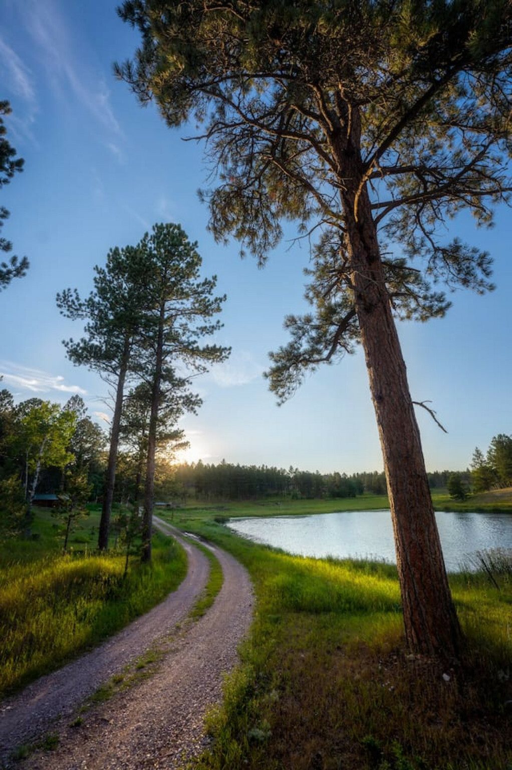 Hobbit Hole: Needle Spire Views + Firepit + Sauna - Black Hills Bungalows