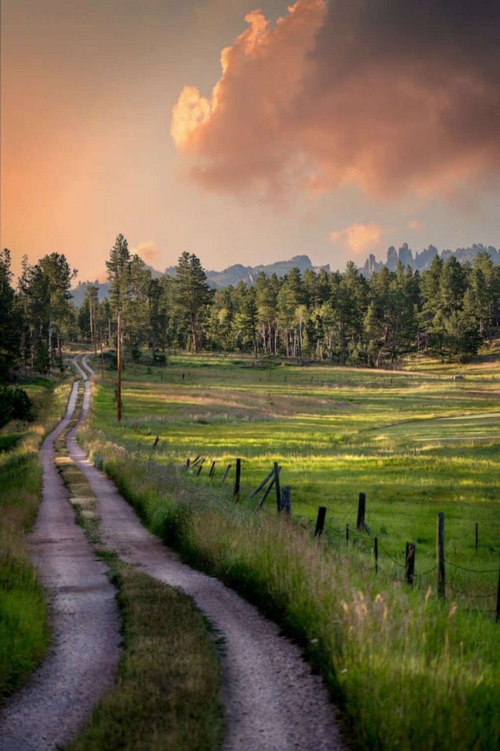 Hobbit Hole: Needle Spire Views + Firepit + Sauna - Black Hills Bungalows